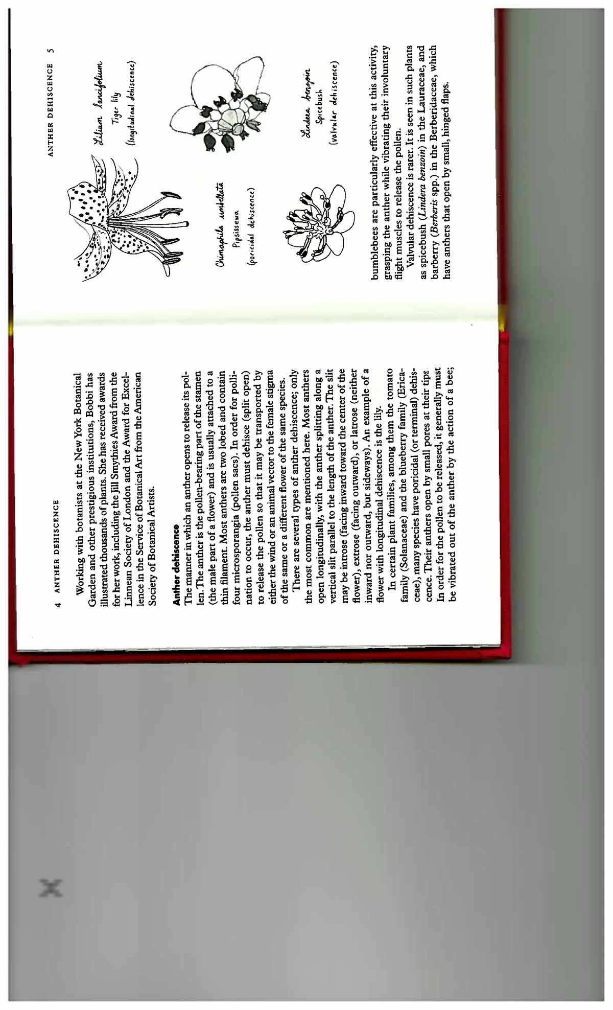 DOC003 - Anther Dehiscence: Mechanisms and Types Explained - Studocu