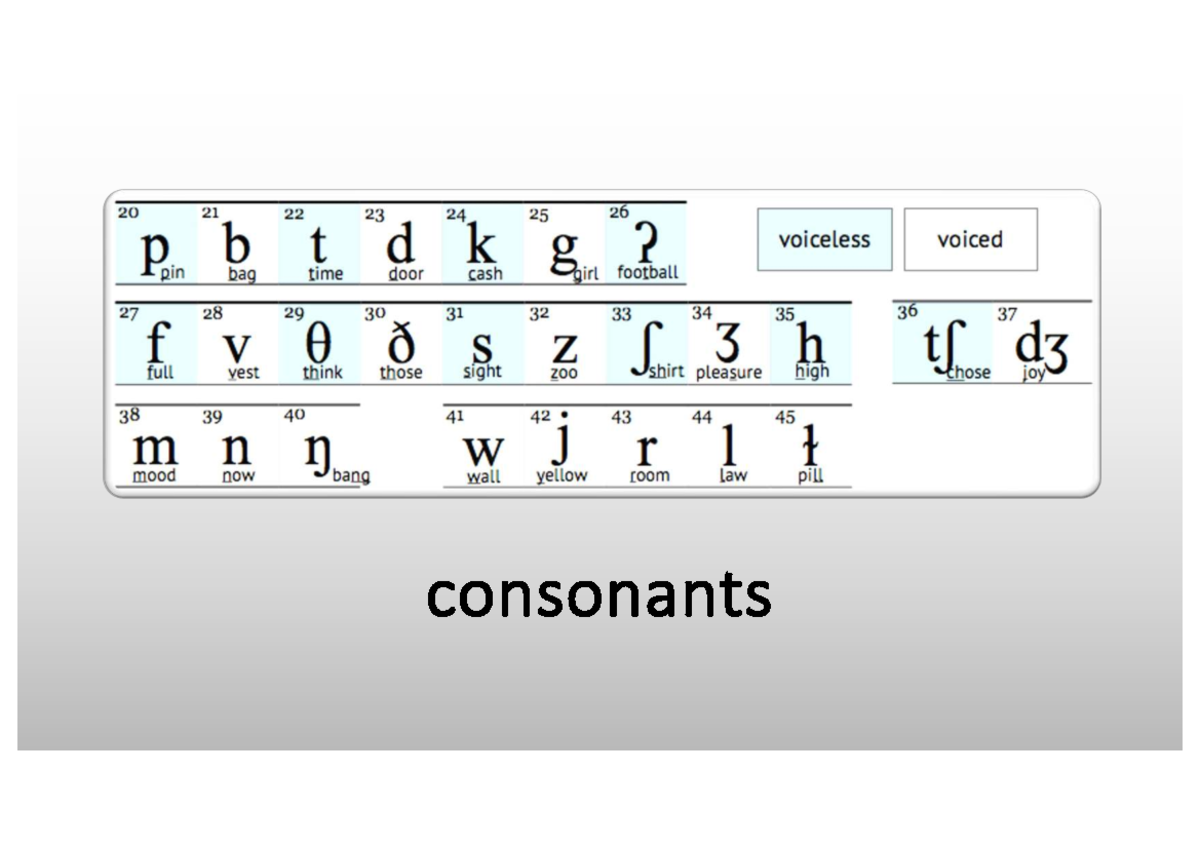 Consonants 05 14: Voiced vs. Voiceless Sounds Explained - Studocu