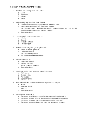 example exam questions on respiratory system - Respiratory system ...