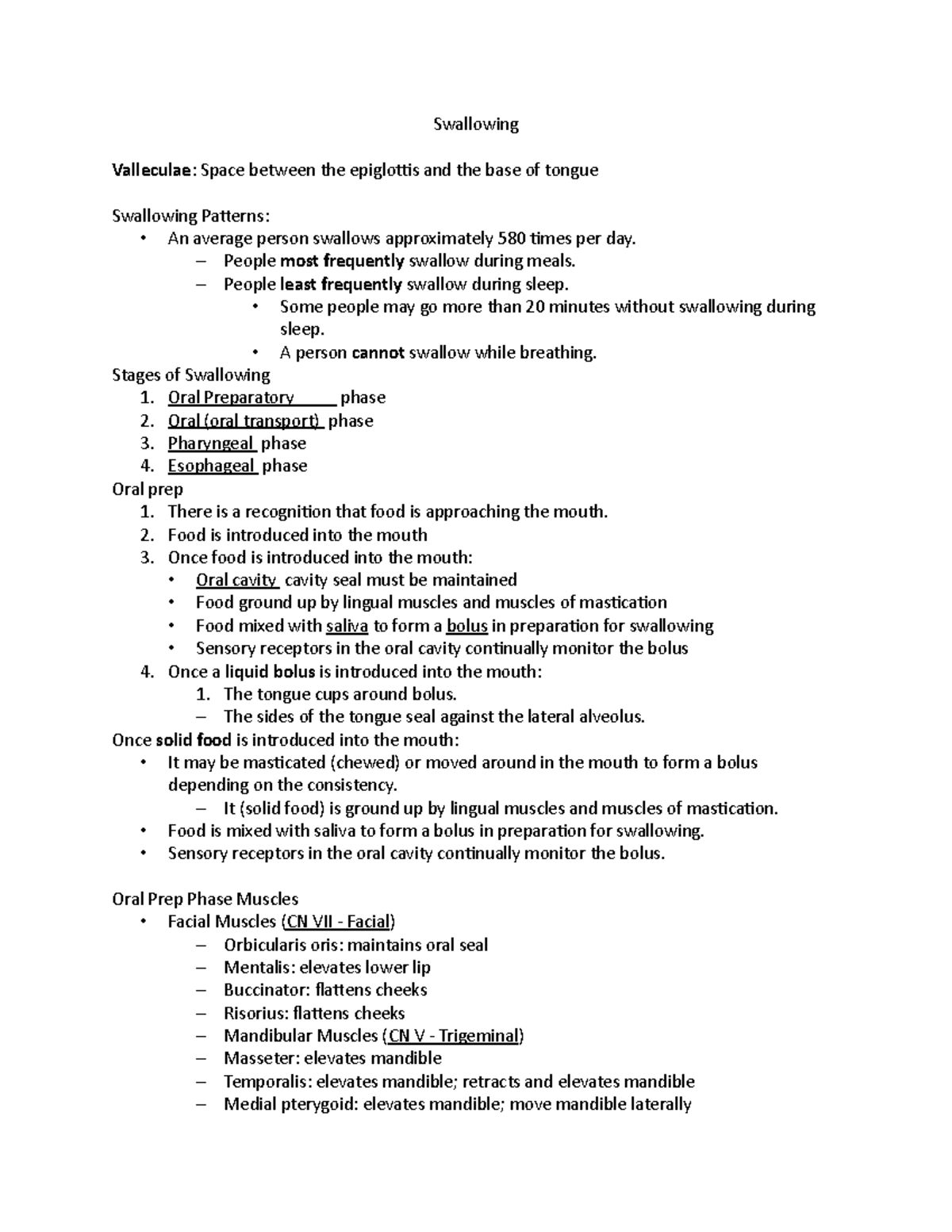 Swallowing Mechanics: Phases and Patterns Explained - Studocu