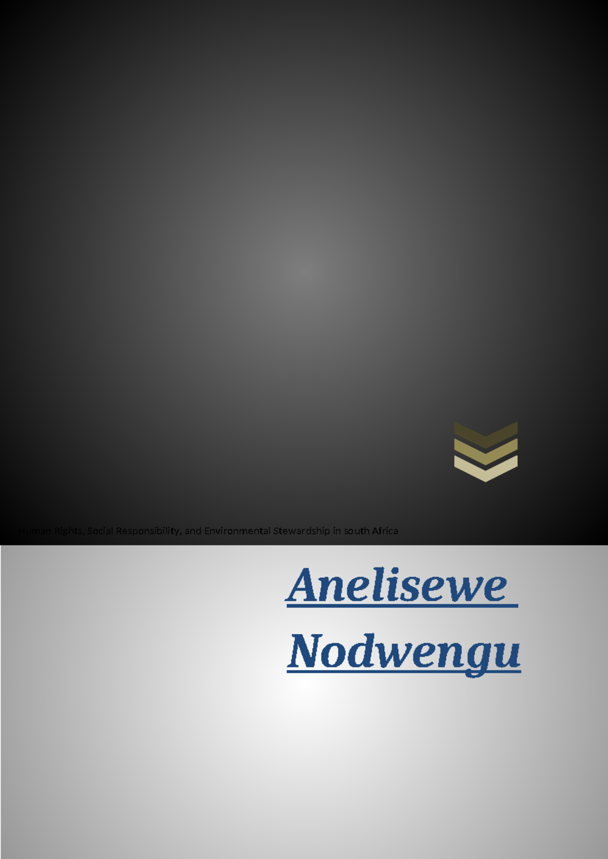 Human Rights & Social Responsibility in South Africa: Research Essay ...