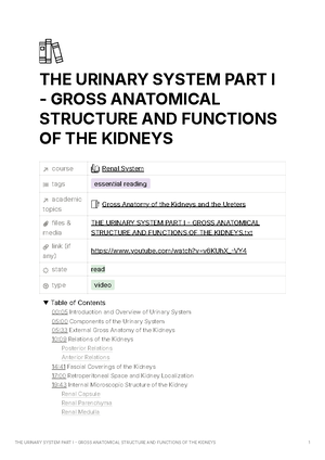 THE Urinary System PART IV - Anatomy OF THE Urinary Passageways AND ...