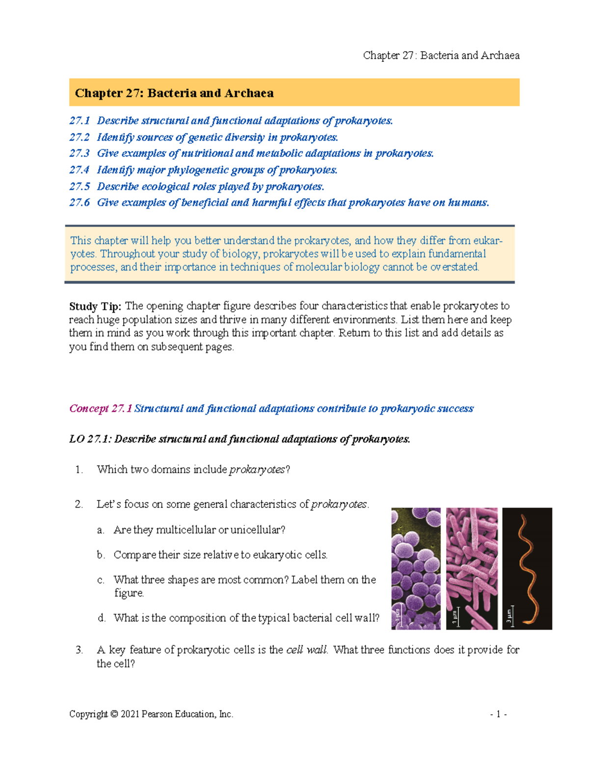 AP Bio Chapter 27: Prokaryotic Structures and Functions Guide - Studocu