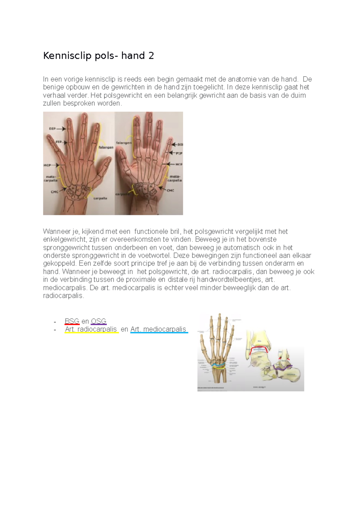 Kennisclip Pols en Hand Anatomie Deel 2: Gewrichten & Bewegingen ...