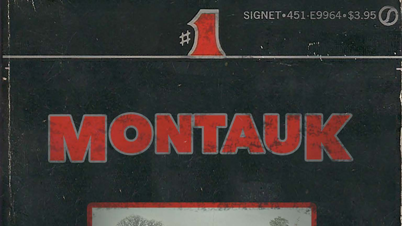 Stranger Things Bible: Montauk Project Overview and Character Analysis ...