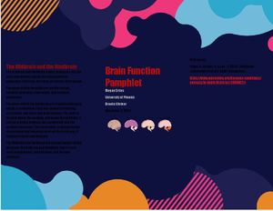 [Solved] There are about 100 billion brain cells and neurons can fire ...