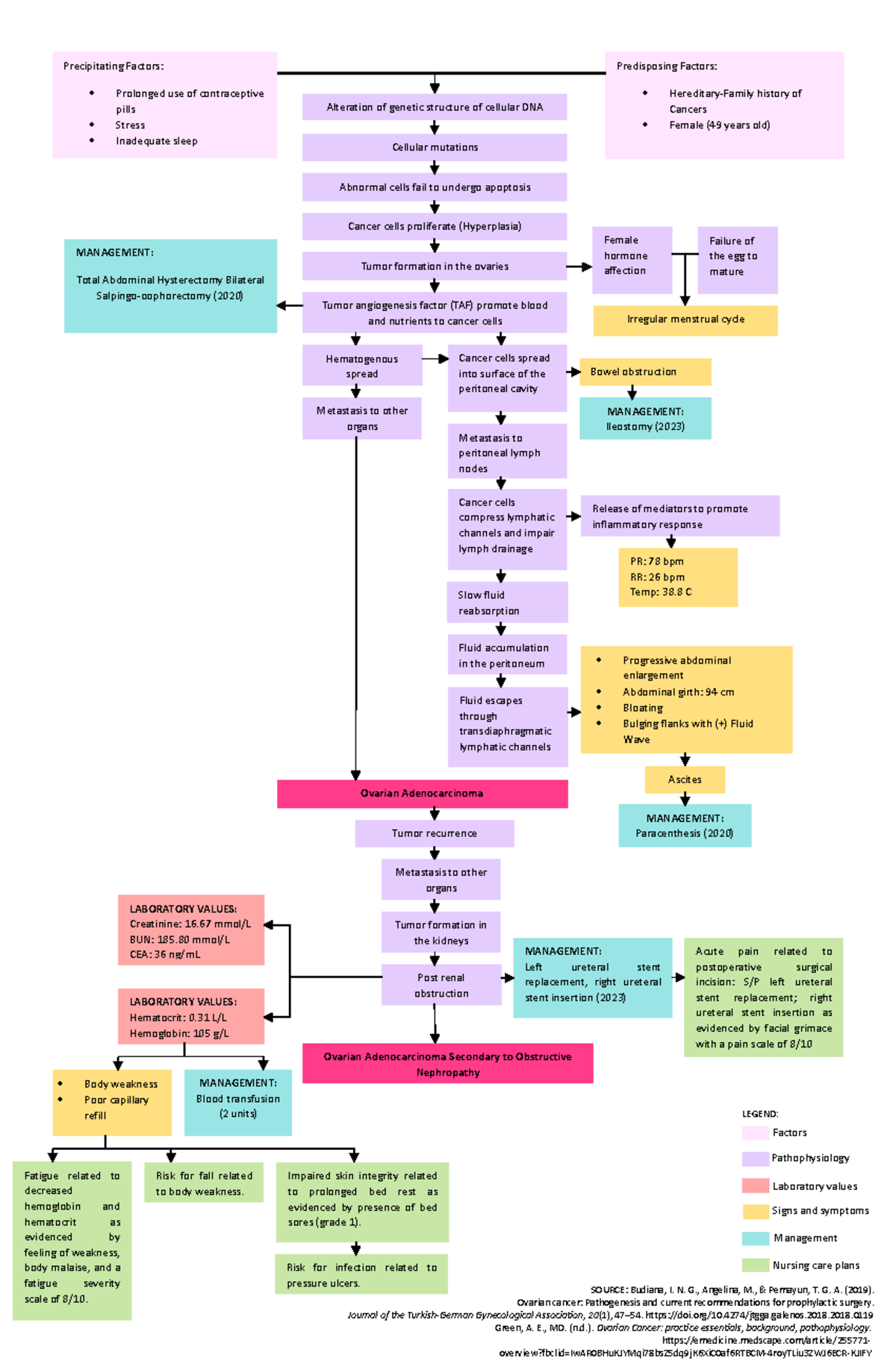 Pathophysiology 5 - Cancer cells proliferate (Hyperplasia) Abnormal ...