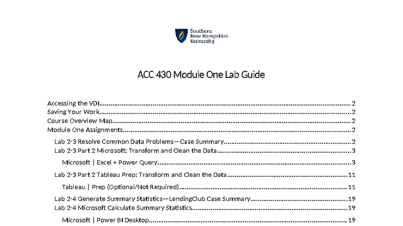 ACC 430 Module One Lab Guide: Data Transformation & Analysis Techniques ...