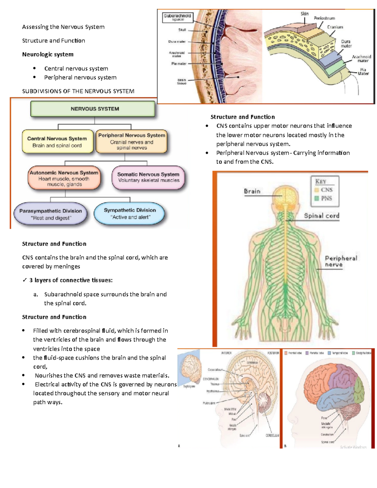 Assessing the Nervous and Musculoskeletal Systems: Structure & Function ...