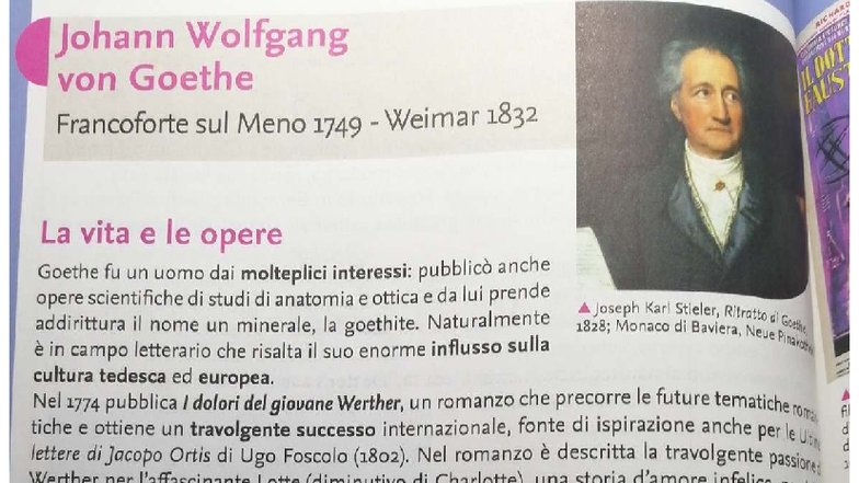 Riassunto della Vita di Goethe: Francoforte e Weimar 1749-1832 - Studocu