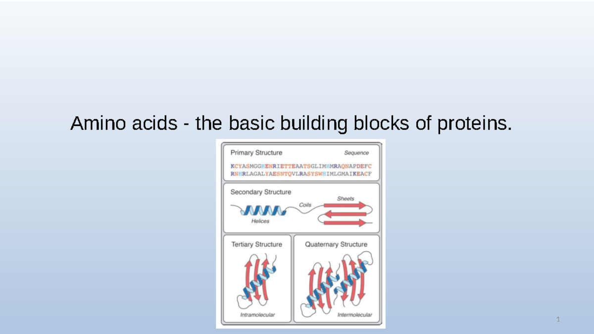 Amino Acids: The Essential Building Blocks of Proteins (102) - Studocu