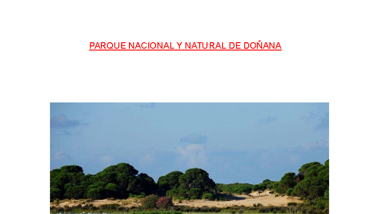Parque Nacional DE Doñana - PARQUE NACIONAL Y NATURAL DE DOÑANA Nicolás ...