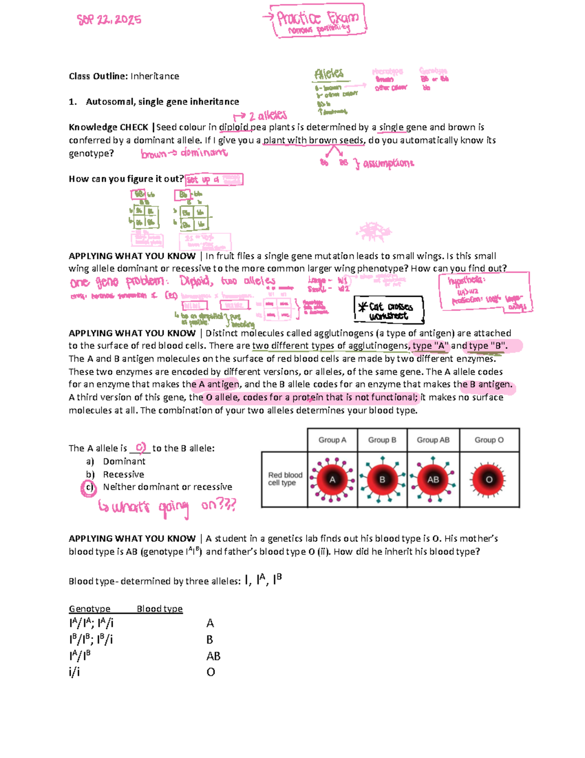 Bio 112 - Lecture Notes on Inheritance and Alleles - Studocu