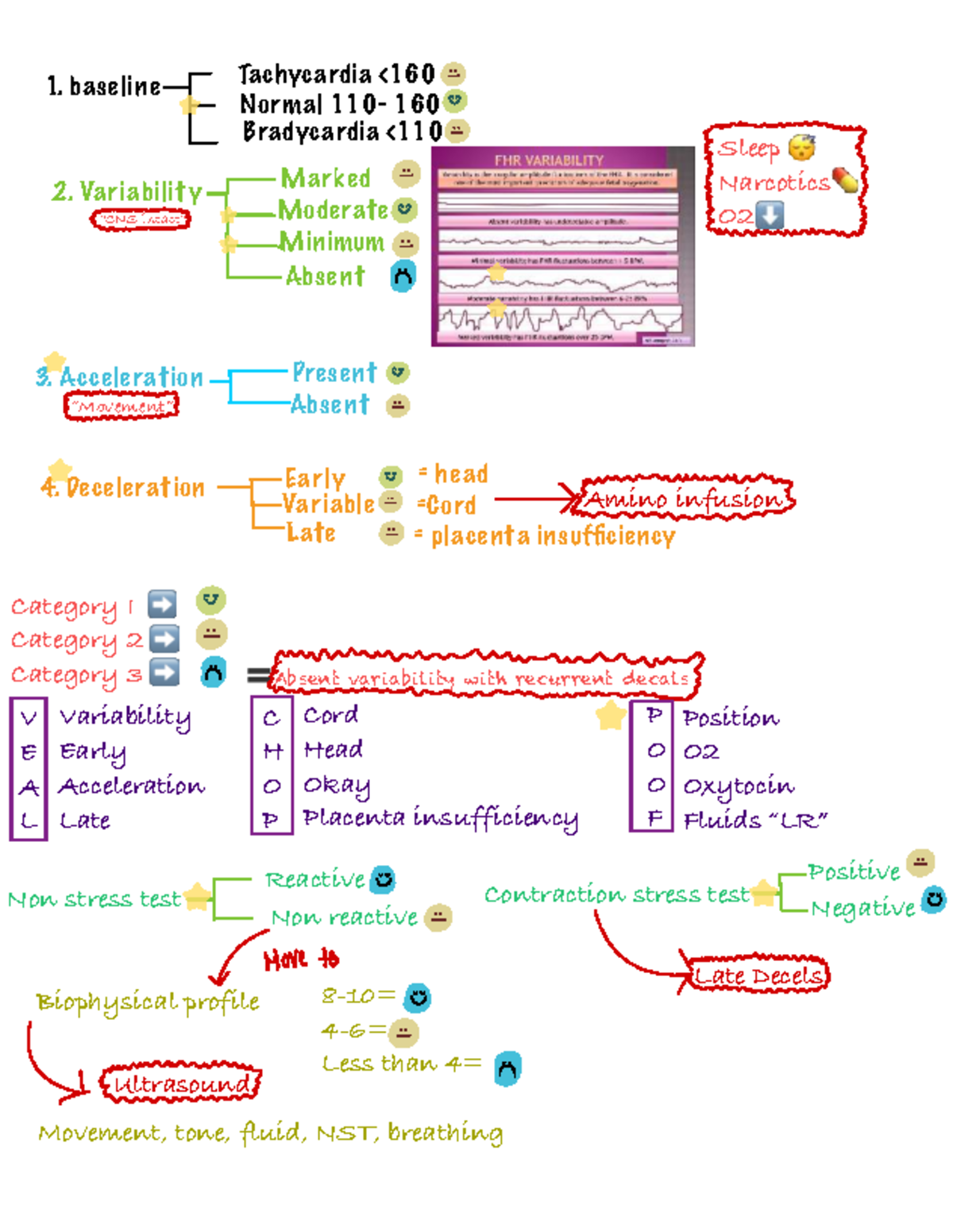 Fhr Fhre Buchen