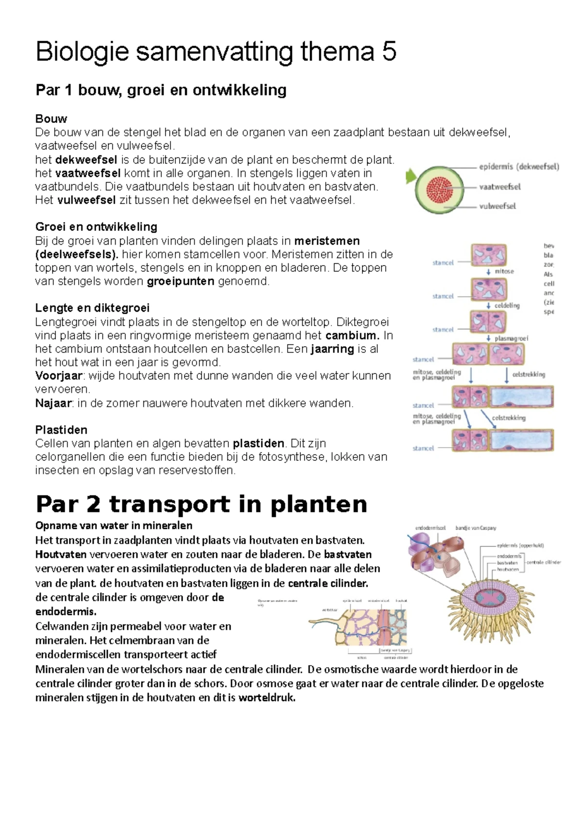 VWO 5 Biologie samenvatting DNA - Studeersnel
