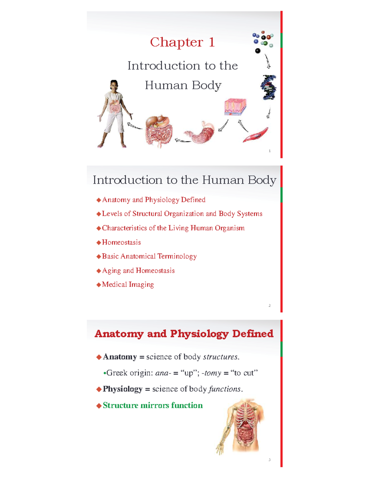 Anatomy and Physiology 101: Human Body Systems & Homeostasis Overview ...