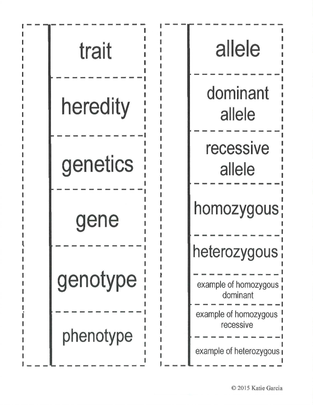 Genetics Vocabulary Flaps (Genetics 101) - Fill-in-the-Blank Activity ...