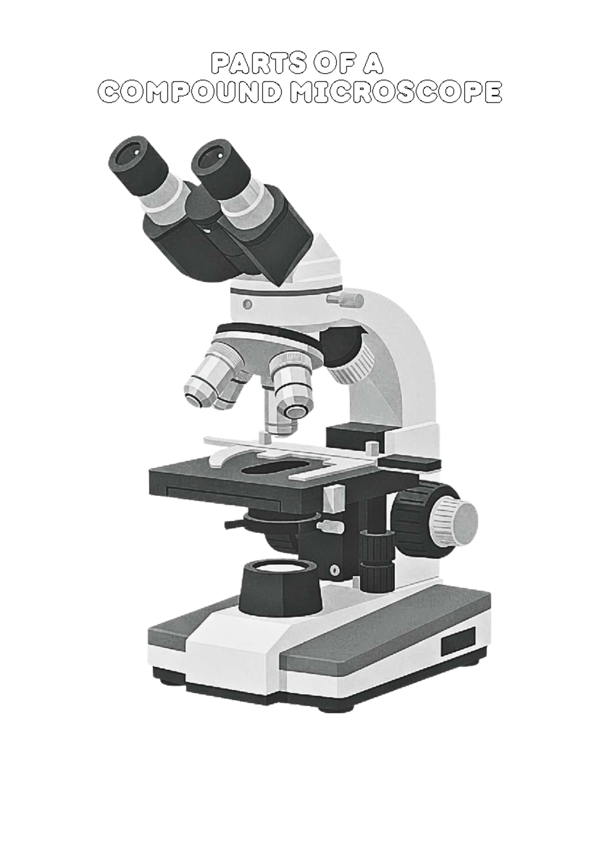 Parts OF A Compound Microscope 20260120 235344 0000 - Histopathologic ...