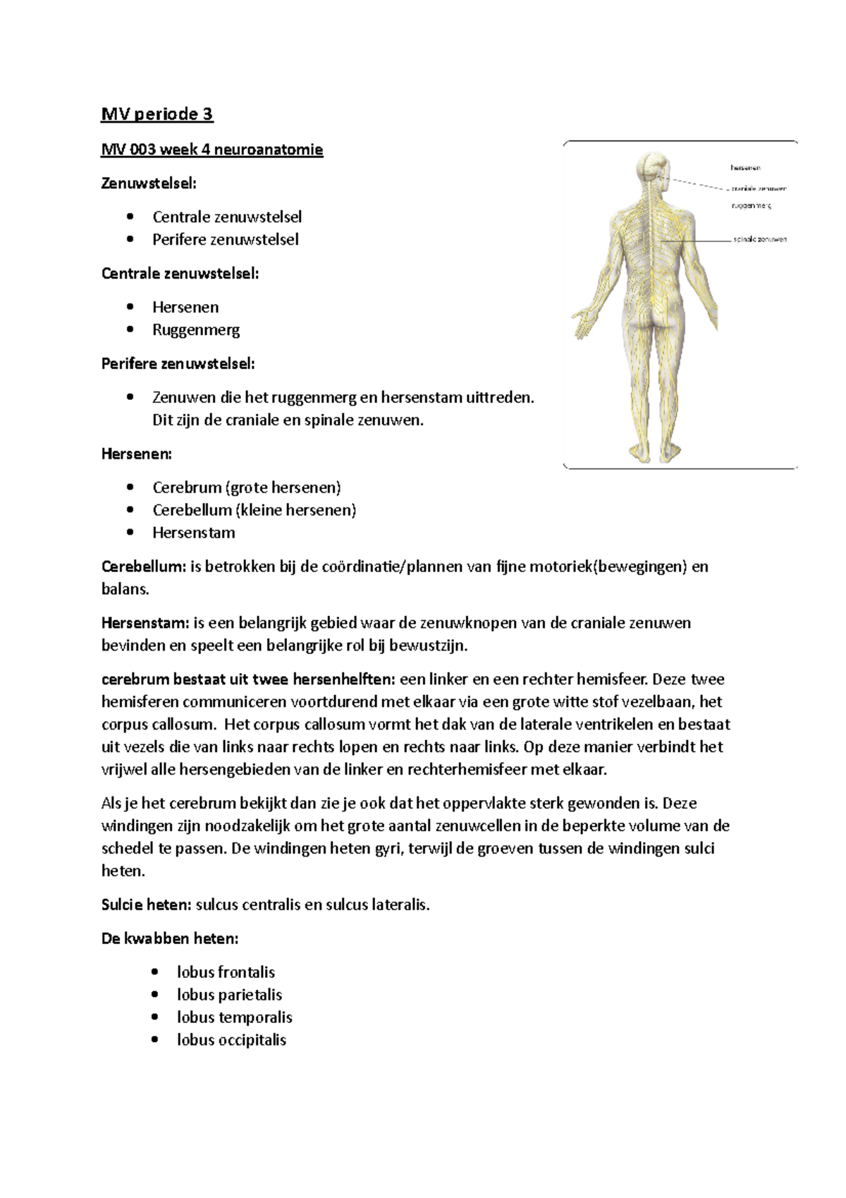 MV 003 Neuroanatomie en Gewrichtsaandoeningen Samenvatting - Studeersnel