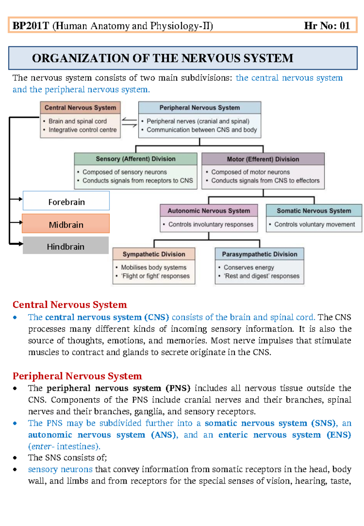 HAP 2 Hr No. 01 - Lecture Notes on Nervous System Organization - Studocu