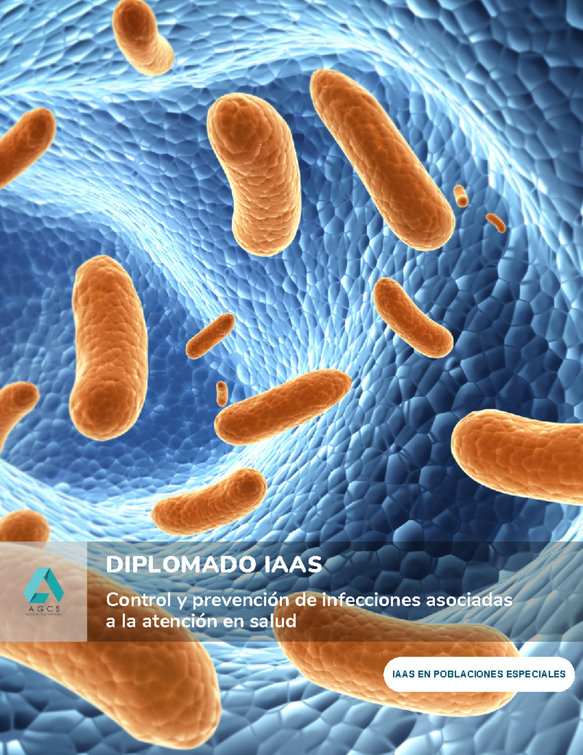 DIPLOMADO IAAS: Control y Prevención de Infecciones en Pacientes ...
