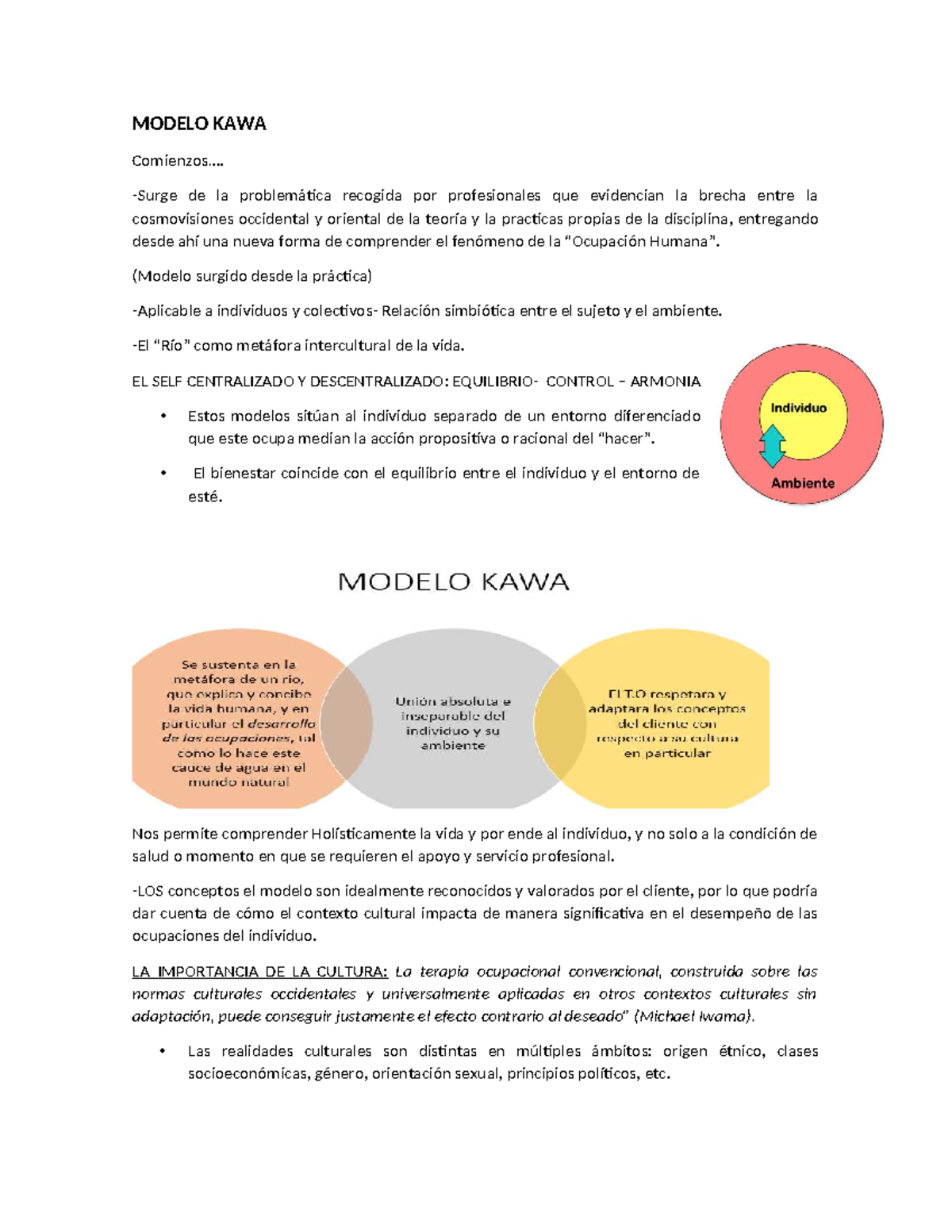 Modelos de Terapia Ocupacional: Unidad 2 - Modelo Kawa y Más - Studocu