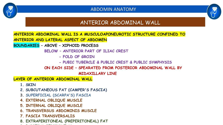 ABDOMINAL ANATOMY: STRUCTURES AND CLINICAL SIGNIFICANCE (MBBS) - Studocu