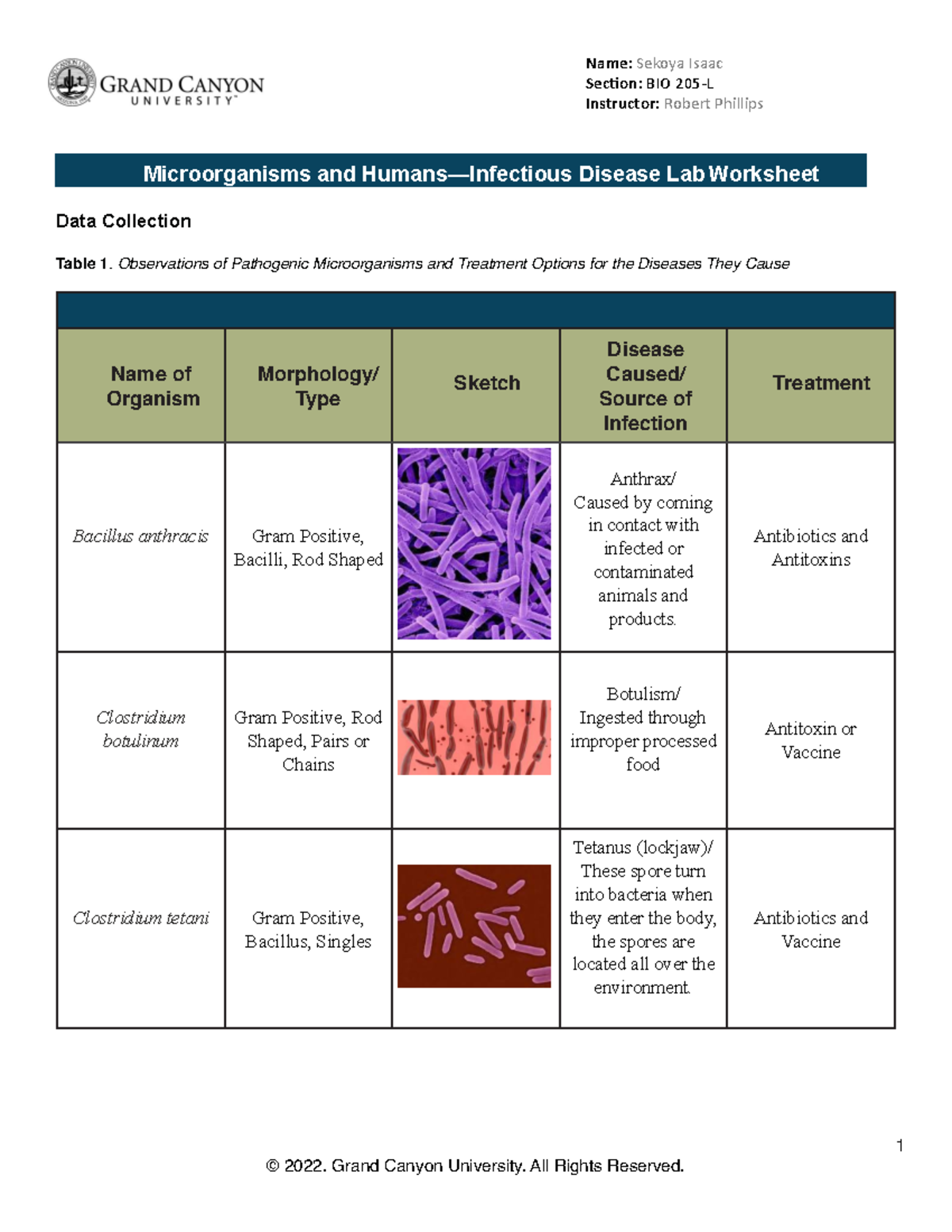 BIO 205-L: Microorganisms & Infectious Diseases Lab Worksheet - Studocu