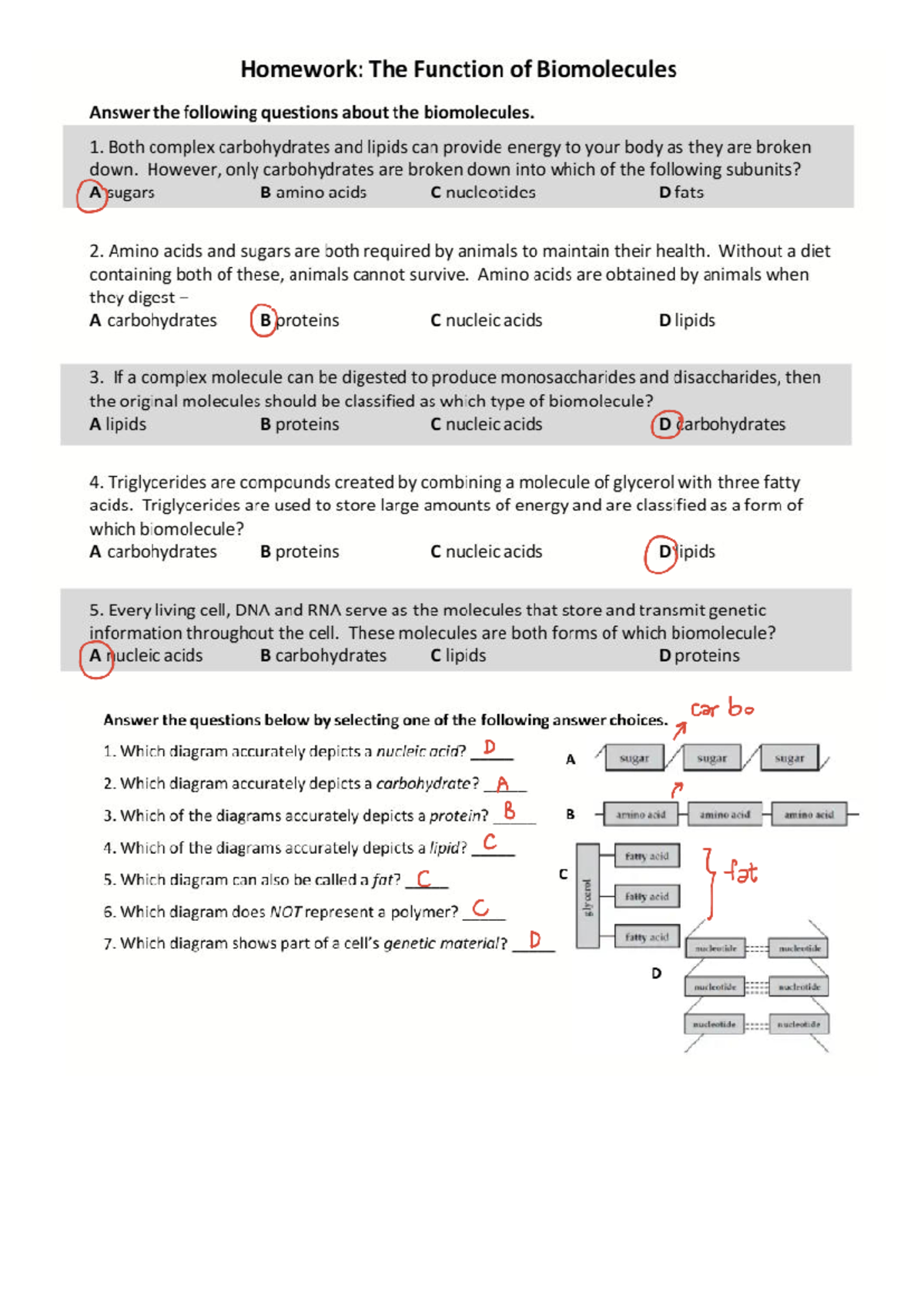 30 Oct 25 N'Grace chemistry of life QP 251106 172841 - Homework: The ...