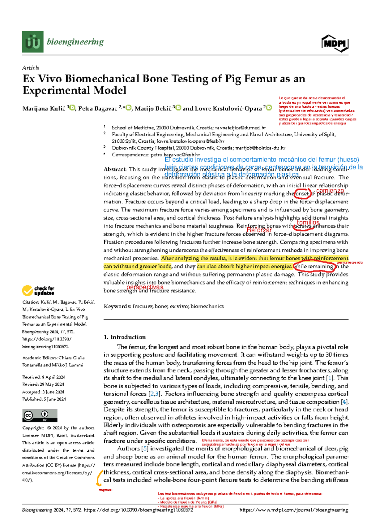 Ex Vivo Biomechanical Testing of Pig Femur: Insights & Findings (BIOENG ...