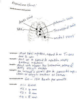 Pediatric Simple Notes - Study Guide for Exam Preparation - Cleft Lip ...