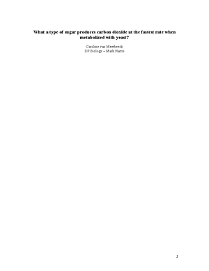 Practice - Two Traits Floppy Eared Bunnies-1 - Name