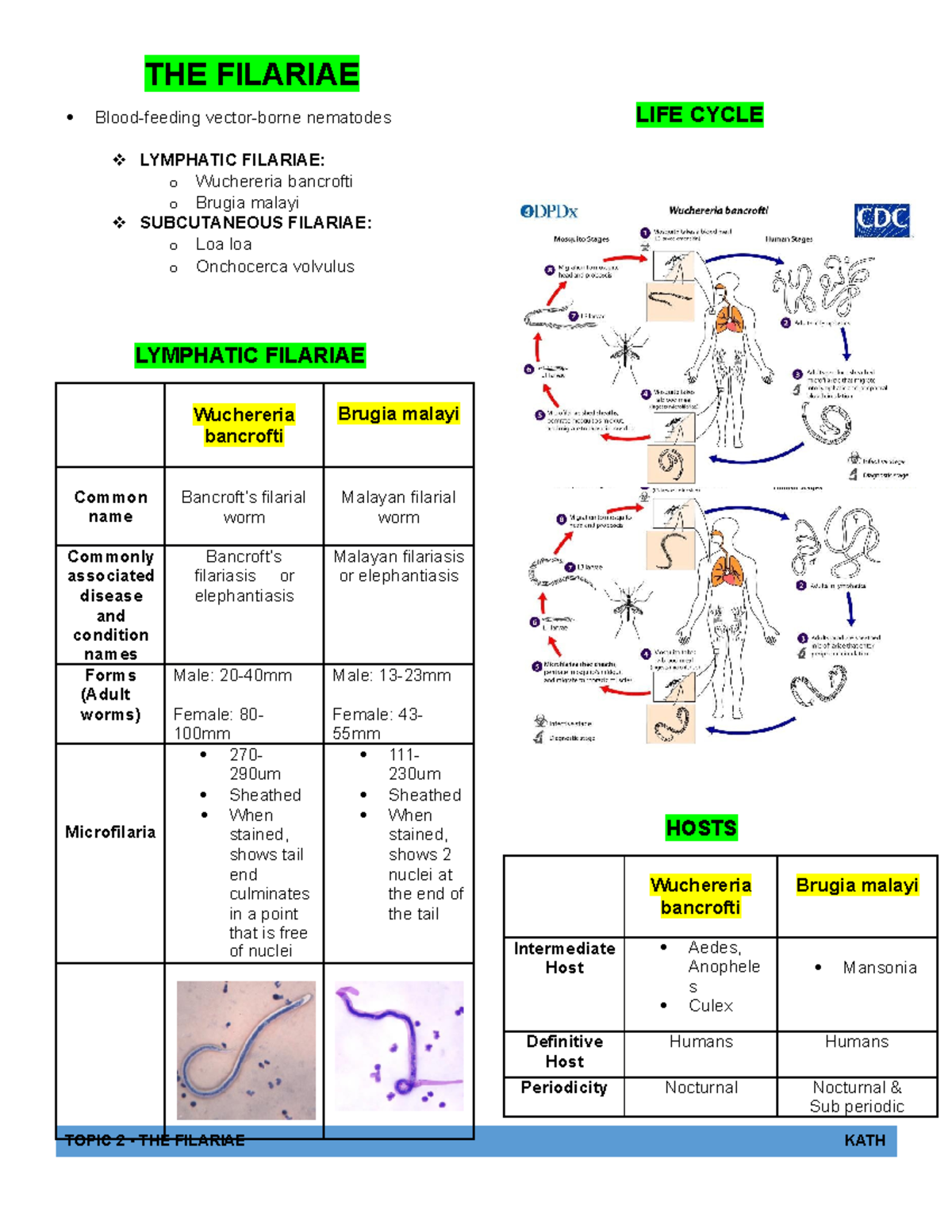 PARA LEC: Study Notes on Filariae and Associated Diseases - Studocu