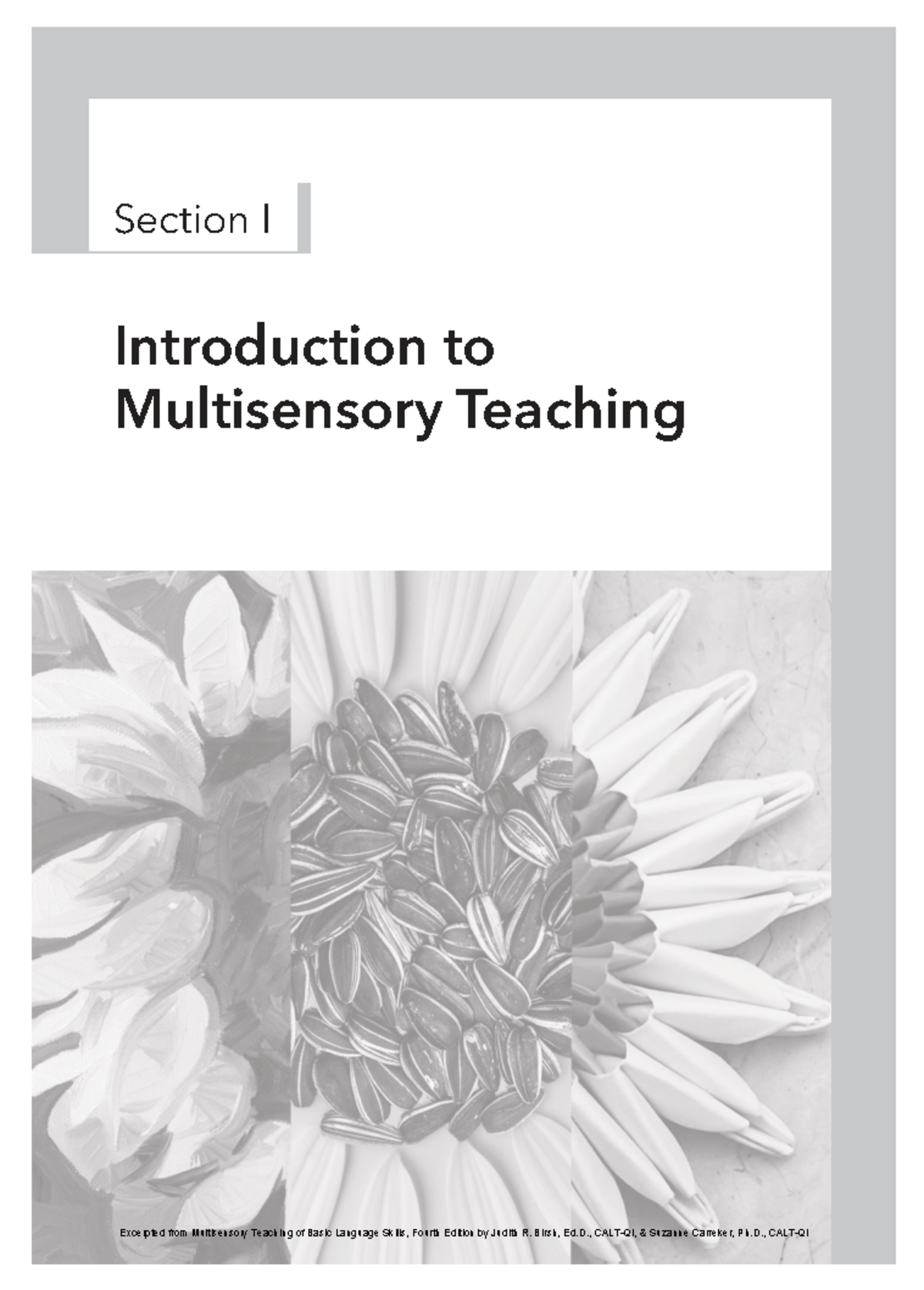 Multisensory Teaching Strategies for Literacy: An Evidence-Based Guide ...