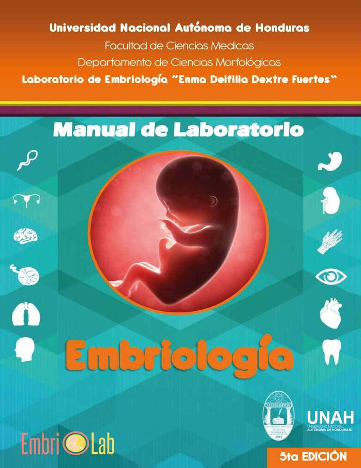 Manual De Laboratorio De Embriología 1 Teoría Y Práctica Studocu