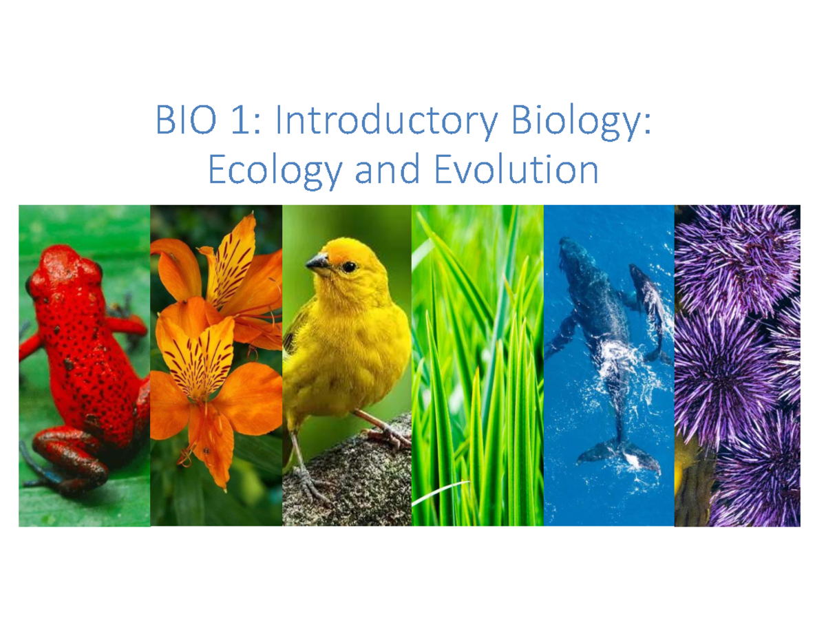 BIO 1: Introductory Biology - Ecology and Evolution Lecture Notes - Studocu