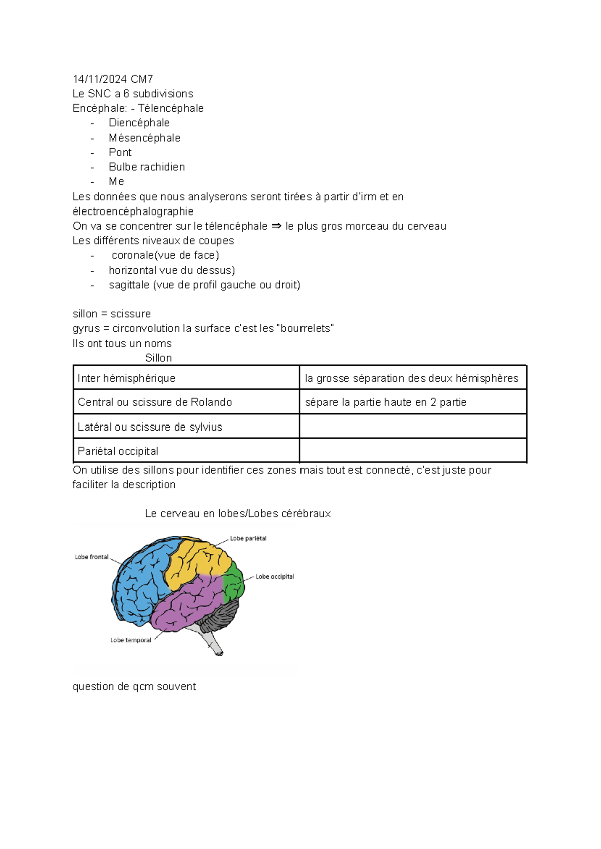 Neuro CM 7 - Notes de Cours sur le Système Nerveux Central - Studocu