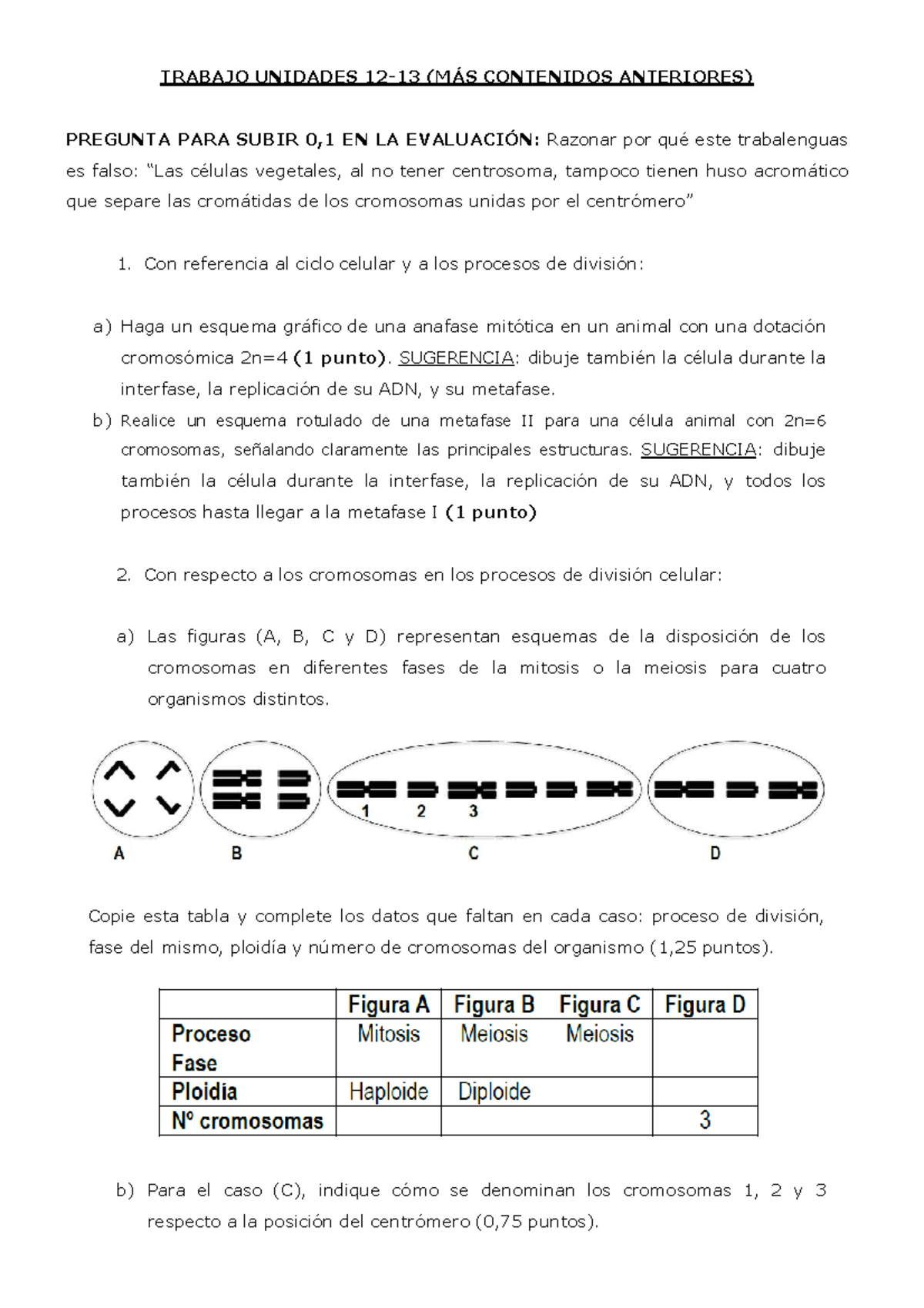 Ejs T12-13: Análisis de la División Celular y Cromosomas - Studocu