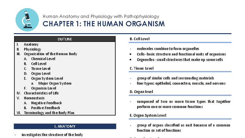 Human Anatomy and Physiology with Pathophysiology CHAPTER 1: The Human ...