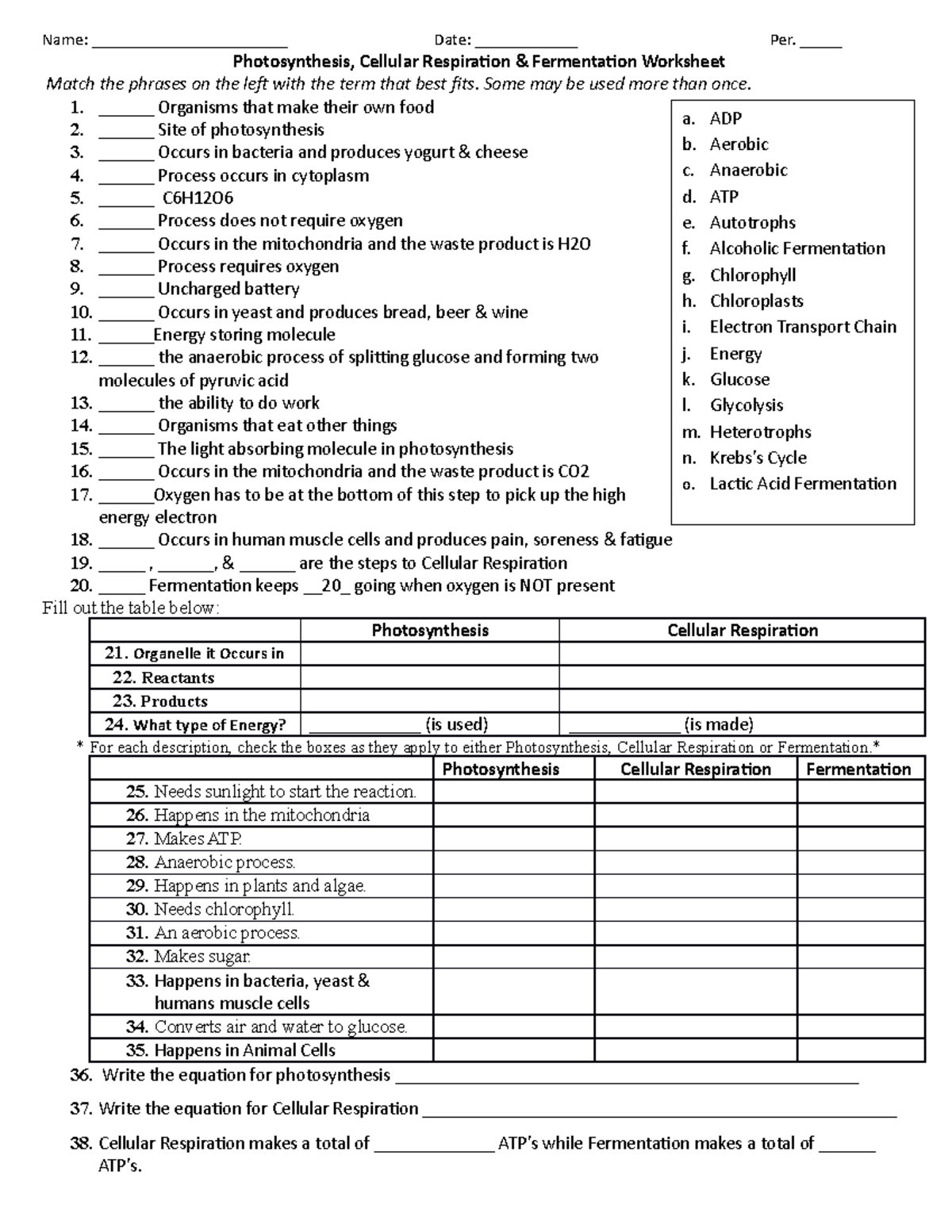 Cellular Respiration Worksheet