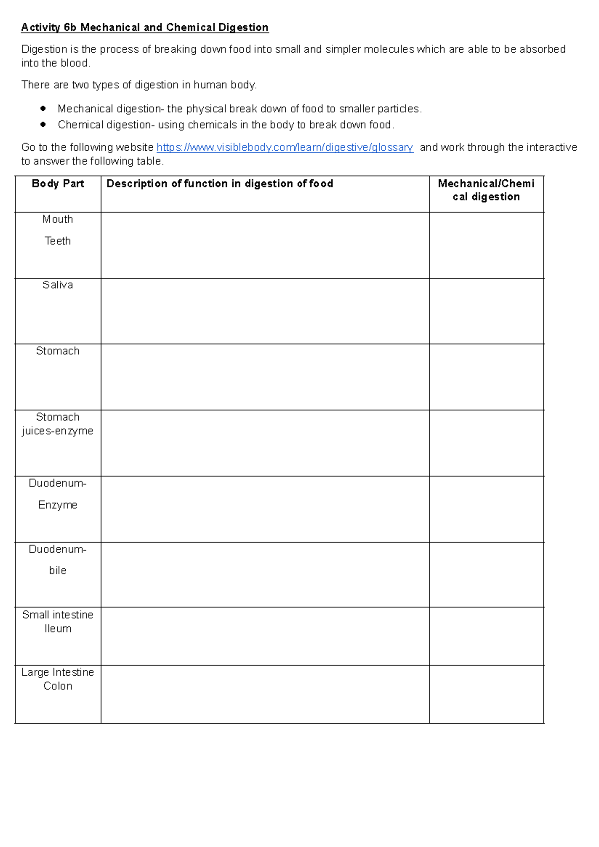 Activity Notes on Digestive System - Year 8 - Studocu