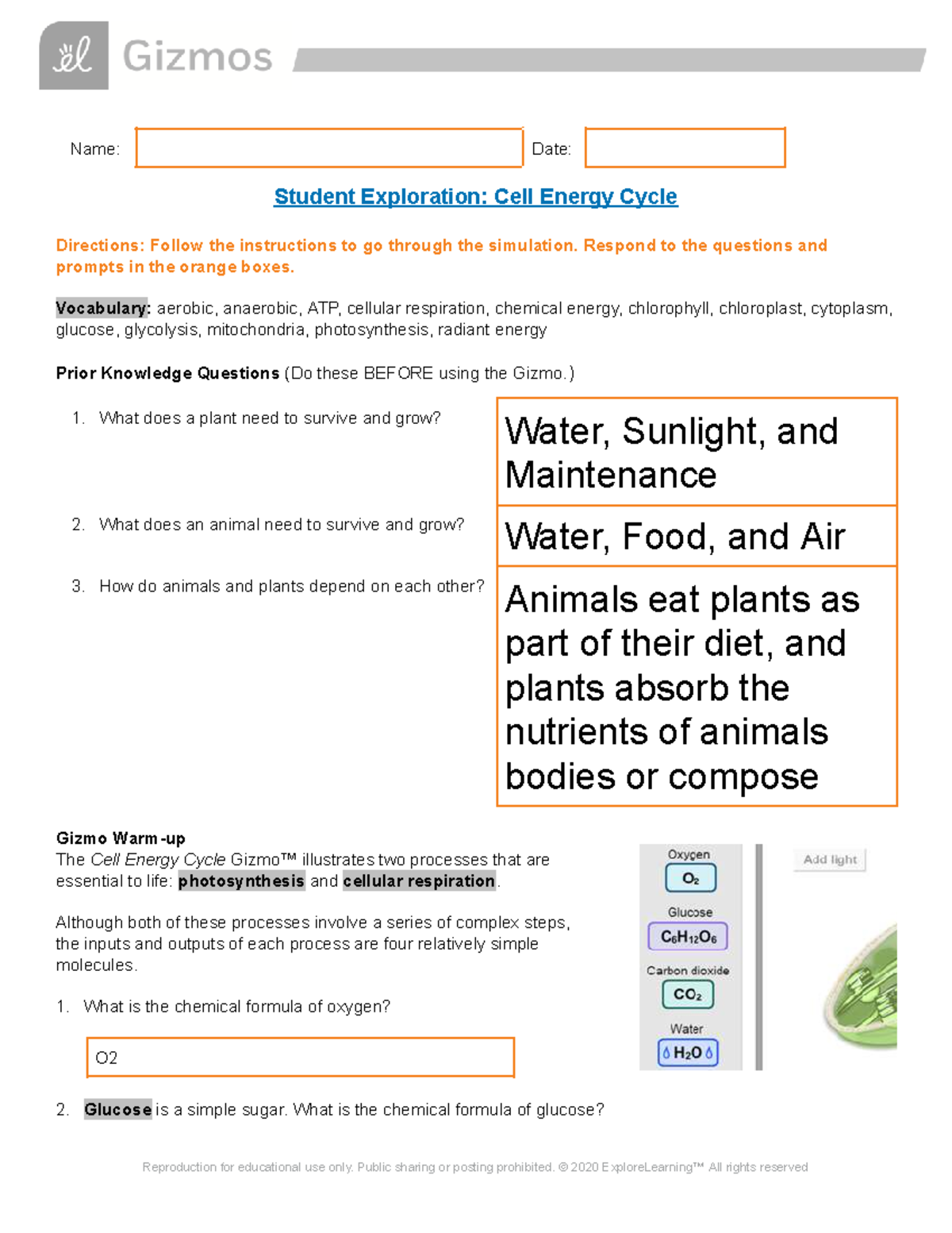 Copy of Cell Energy Cycle SE - BIO Simulation Guide - Studocu