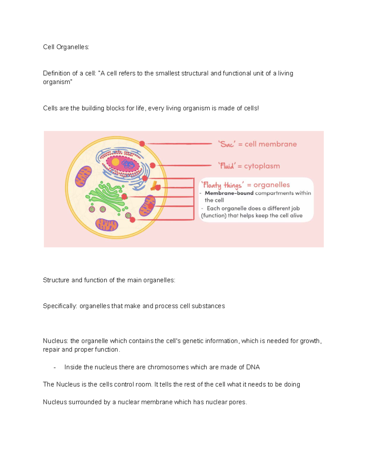 Biology Notes: Cell Organelles and Their Functions (BIO101) - Studocu