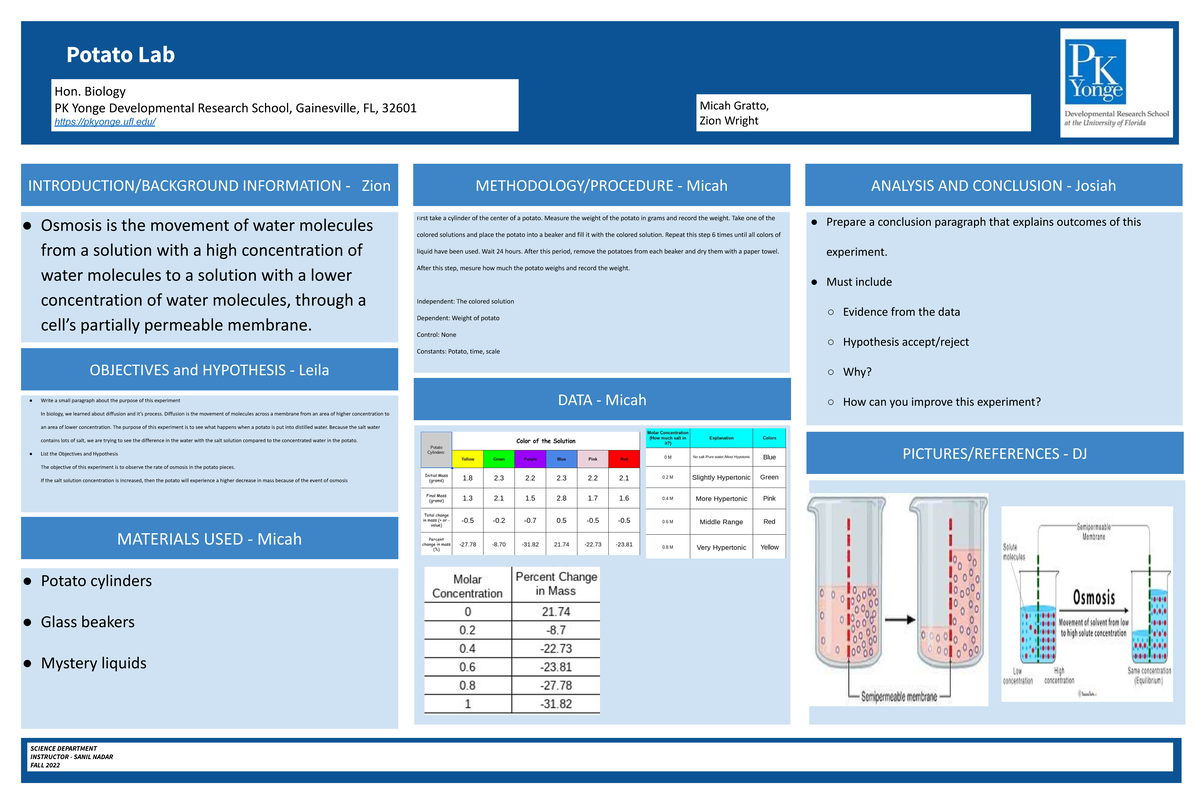 Copy of Lab Report Template 24x36 - Potato Lab Osmosis is the movement ...