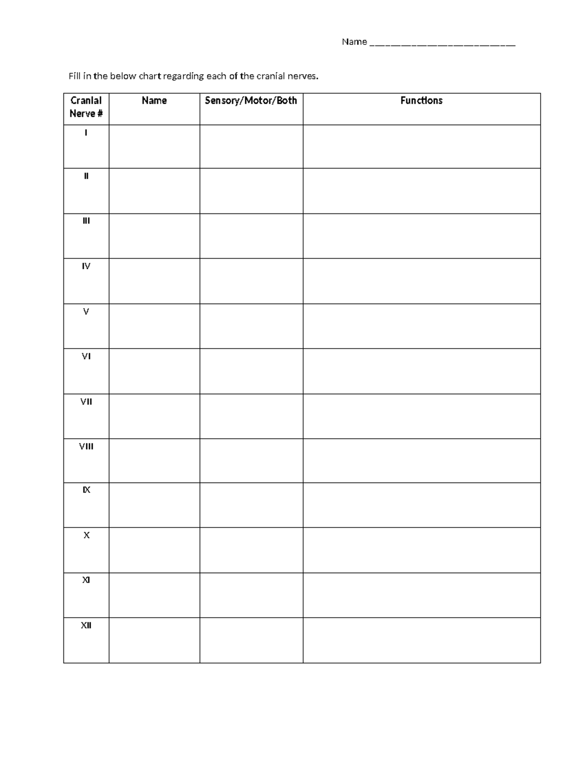 Cranial Nerves Worksheet - Anatomy - Name ...