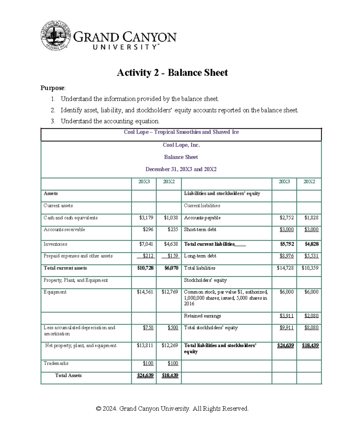ACC 486 RS Balance Sheet Activity 2 Student - Activity 2 - Balance ...