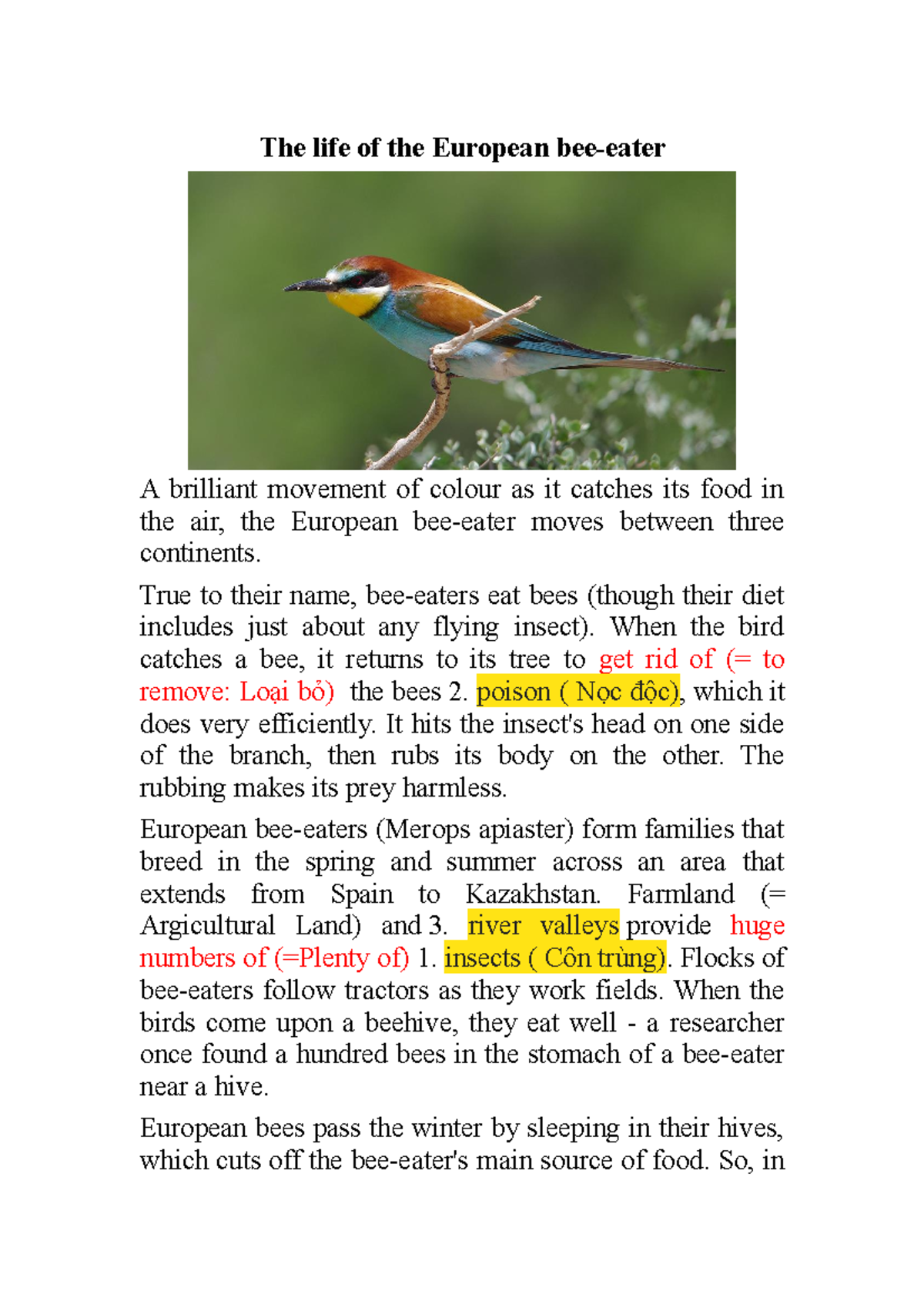 The Life Cycle and Migration Patterns of the European Bee-Eater - Studocu
