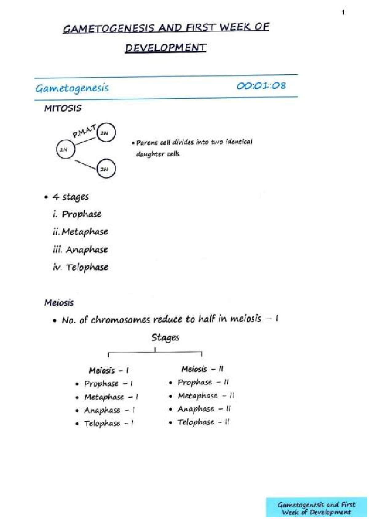 Embryology Study Notes: Gametogenesis, Mitosis & Meiosis (Dr. Azam ...