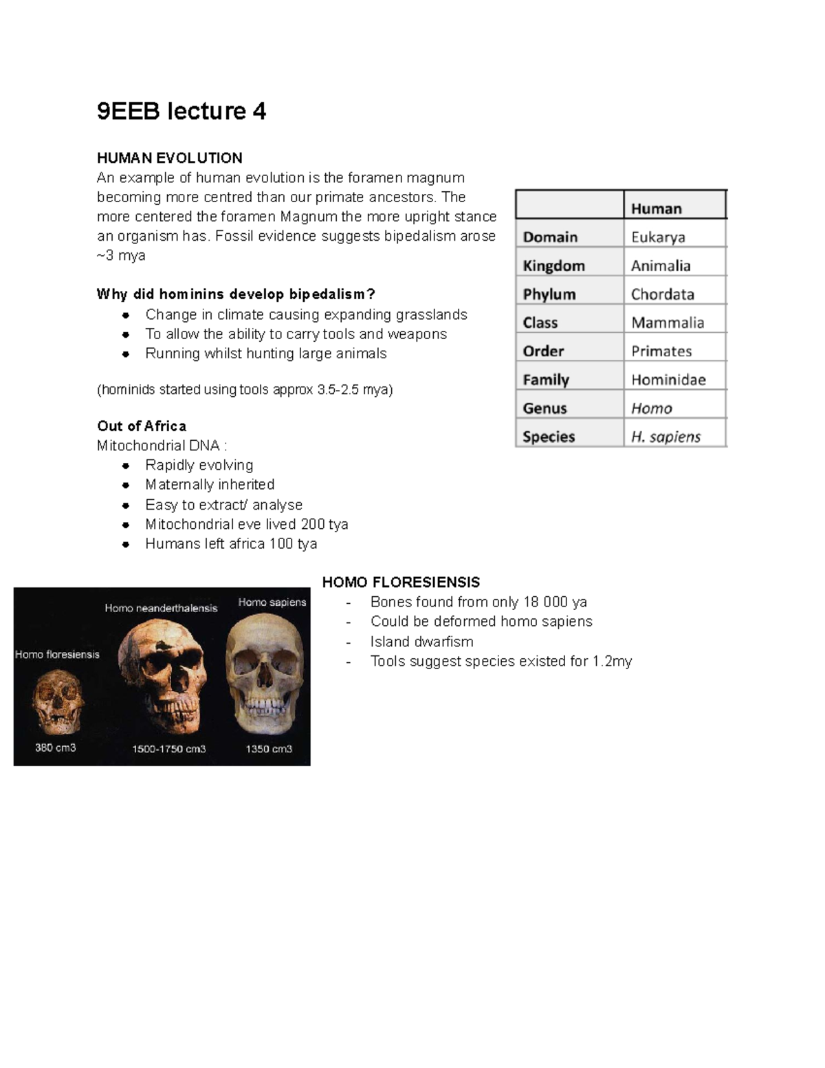 EEB lecture 4 - 9EEB lecture 4 HUMAN EVOLUTION An example of human ...