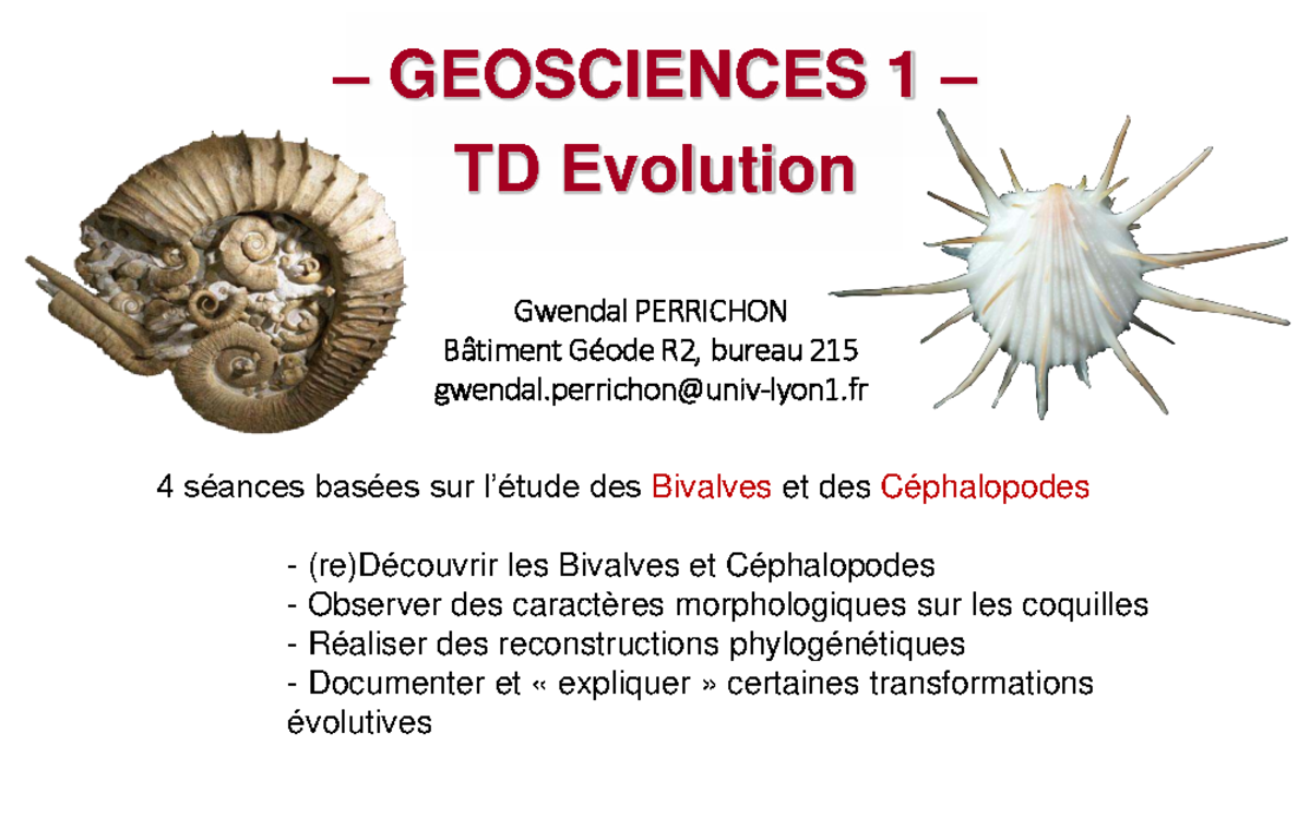 GEOSCIENCES 1 TD3 Évolution des Bivalves et Céphalopodes - Studocu